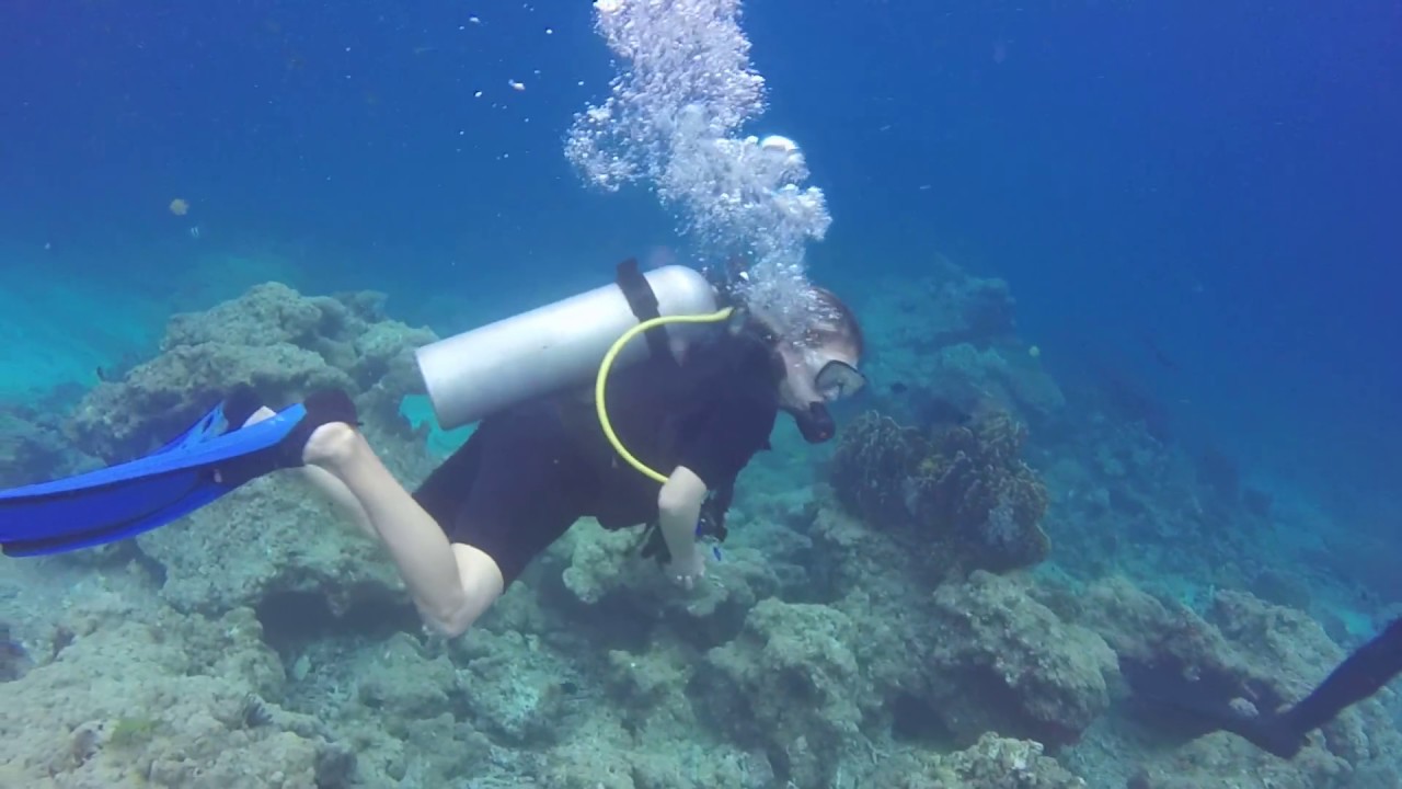 Diving Surin Islands, Dive day 1.3 - YouTube