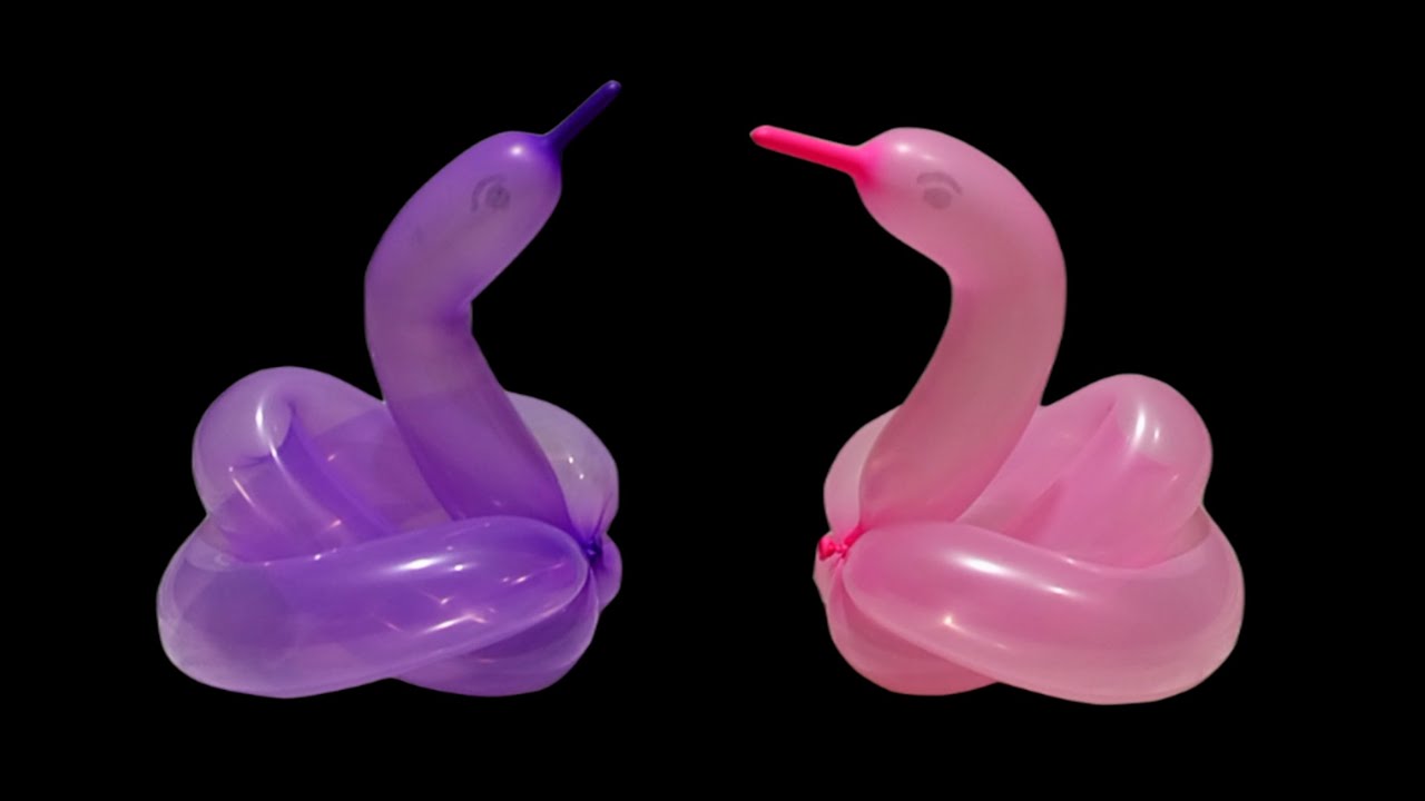 How To Make a Balloon Swan | Swan Bird - YouTube