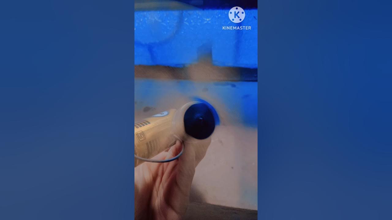 Science Project For Class 7th Students Working Model Easy Scince science-project-for-class-7th-students-working-model-easy-scince