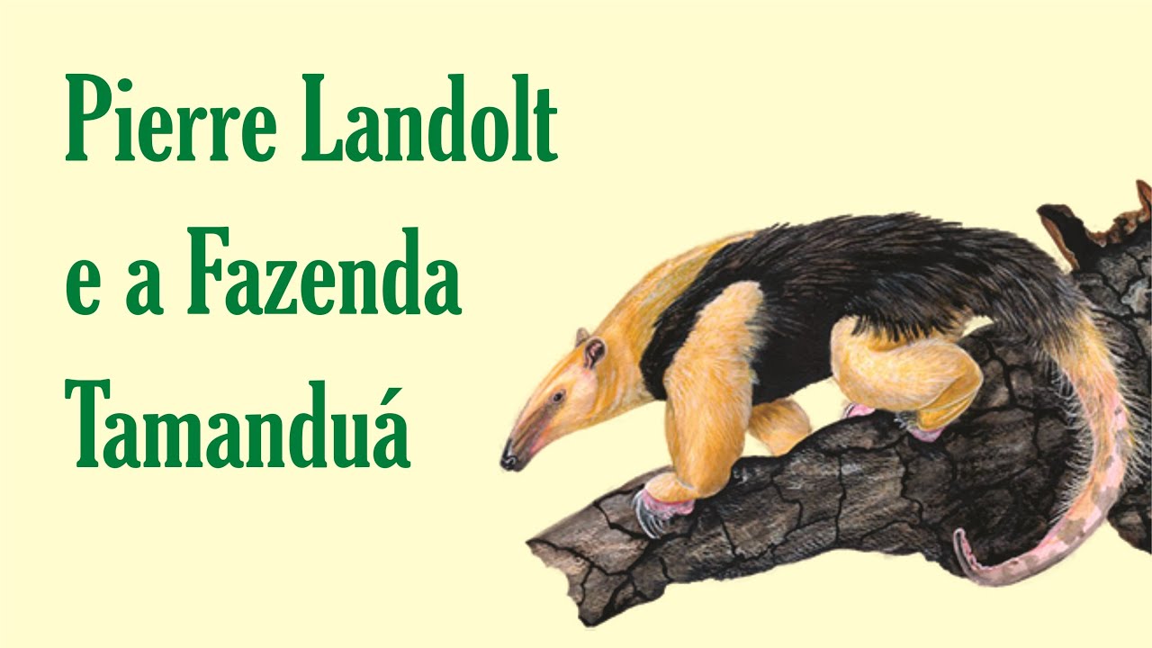 Pierre Landolt e a Fazenda Tamanduá - YouTube