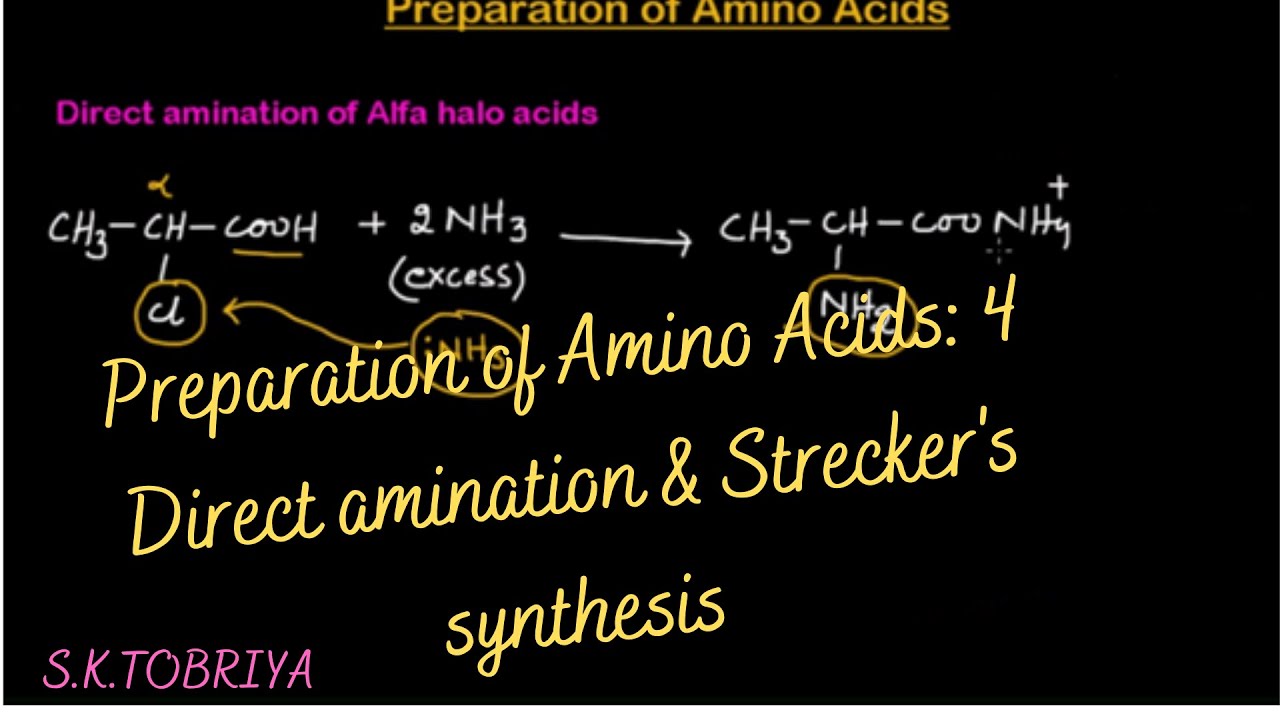 Amination of Alfa Halo acids # Strecker's synthesis - YouTube