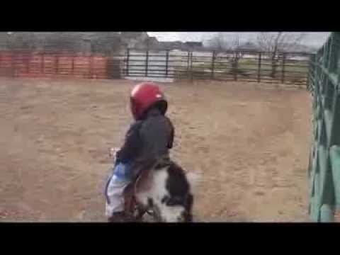Goat Riding 101 (billy goat) - YouTube