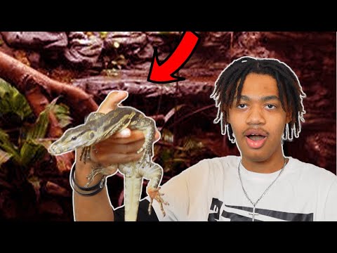 Ultimate Guide to Constructing an Enormous Asian Water Monitor Enclosure