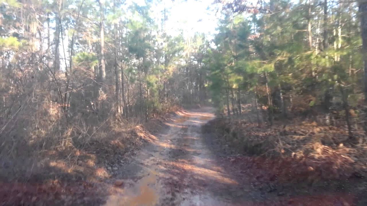 Honda P500 is nothing but pure FUN! Mack's Pines...in Dover Ar - YouTube