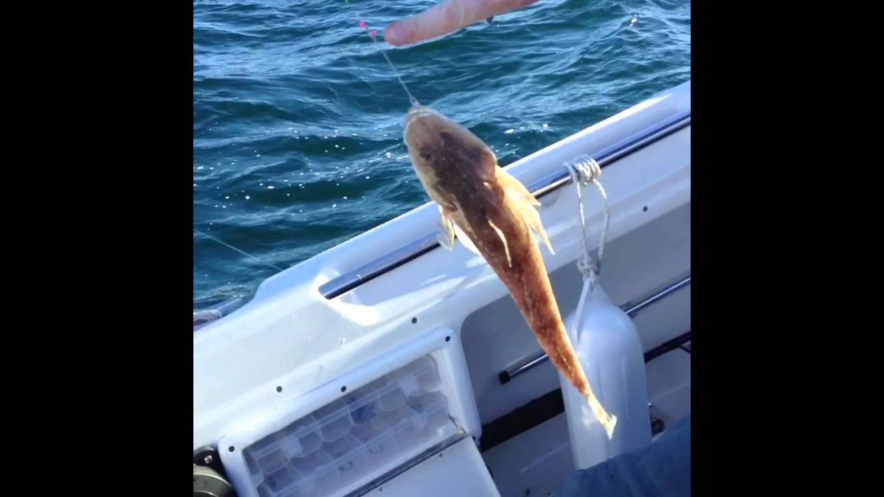 Lila's First Fish - YouTube