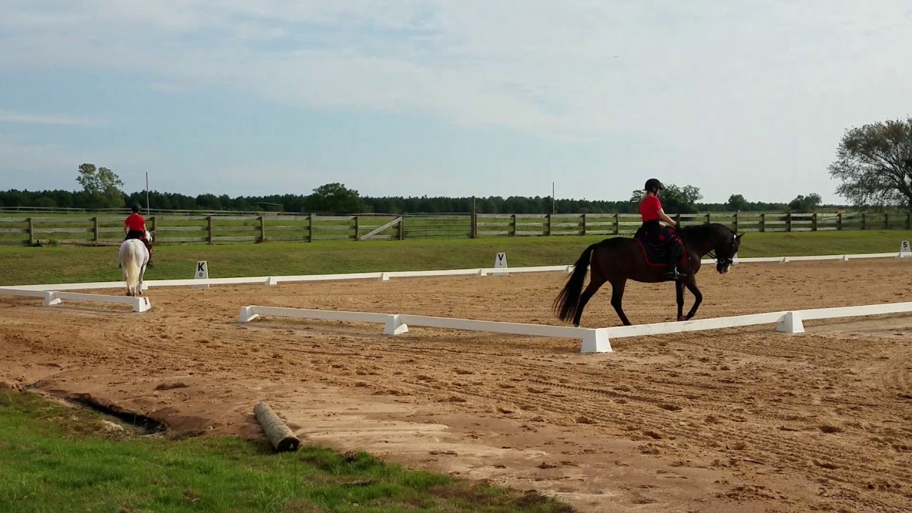 Yvette and Amy Pas de Deux Sept TSDS show - YouTube