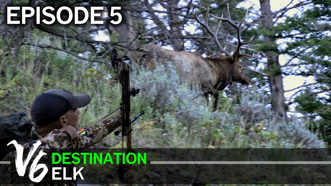 Aim Small, Miss Small - Episode 5 (Destination Elk V6) - YouTube