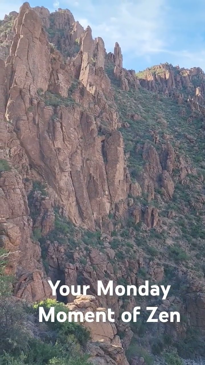 Your Monday moment of zen - #grateful #arizona #zen #monday #birds # ...