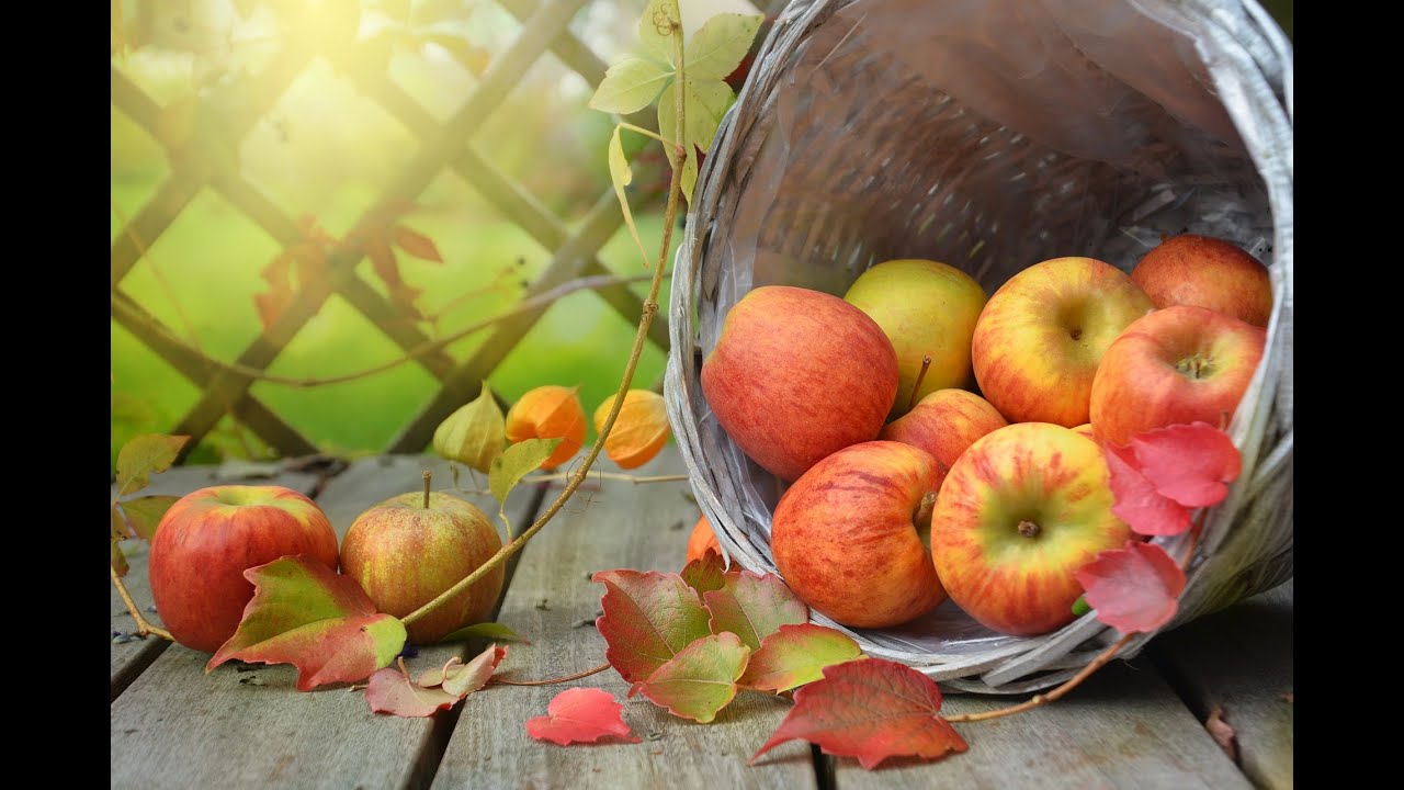 10 Interesting Facts about APPLES - YouTube