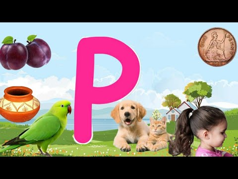 "Exploring the 40 Words with Letter P - Alphabet Series for Preschool ...