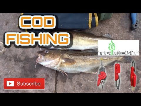 COD FISHING WITH TRIDENT TACKLE - YouTube