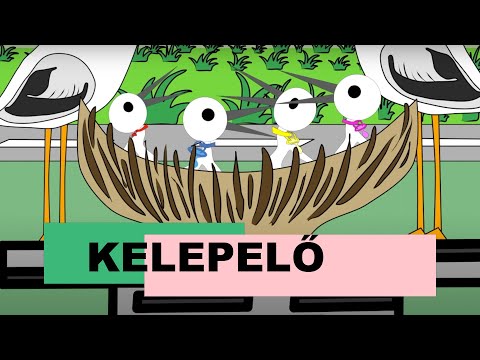 Kiskalász - KELEPELŐ II Bartos Erika verse gólyákról- animáció, gyerekdal #kiskalász #gyerekdalok
