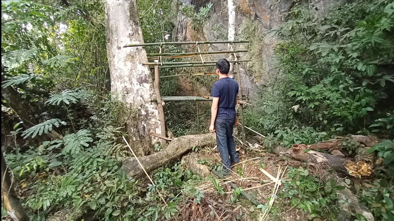 Survival Instinct, Make A Home To Survive Alone In The Wilderness ...