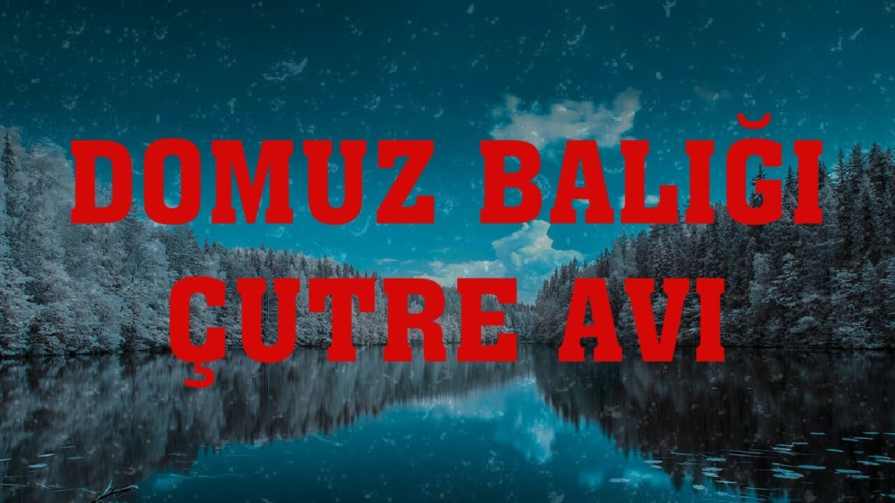 DOMUZ BALIĞI, CERBİT, MERCAN AVIMIZ, - YouTube