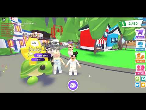 ROBLOX ADOPT ME HACKS PART 1 - YouTube