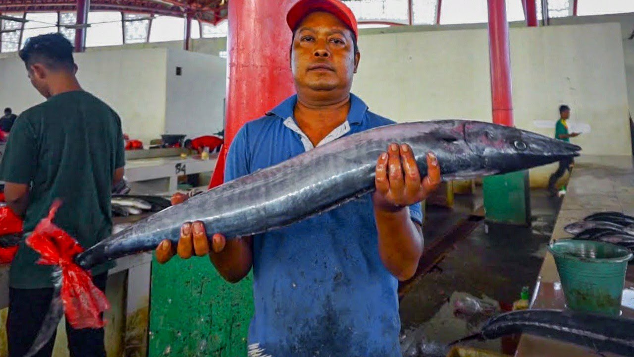 PROFESSIONAL FISH FILLET & CUTTING ONO (WAHOO FISH ) - YouTube