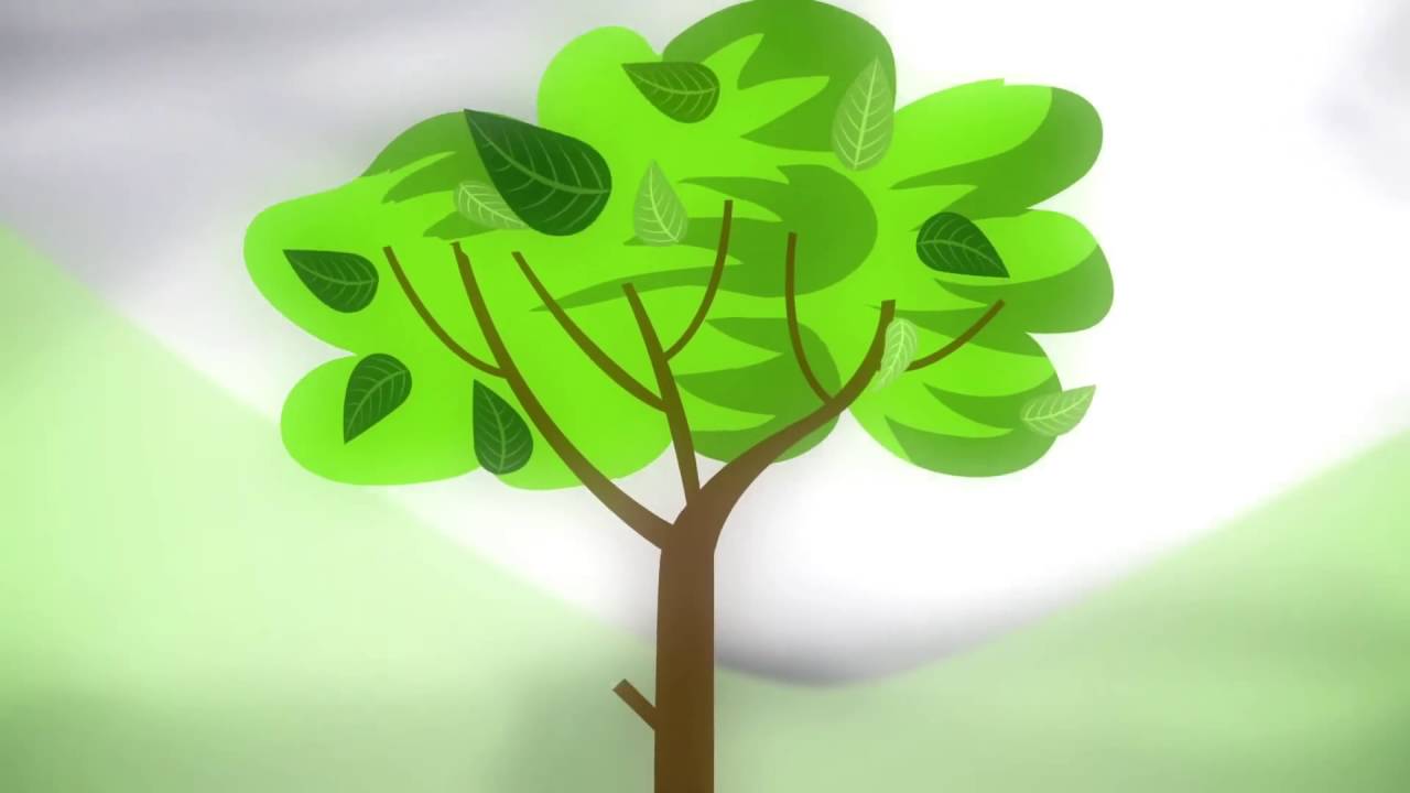 Disaster Preparedness: Act Now, Save Later - YouTube