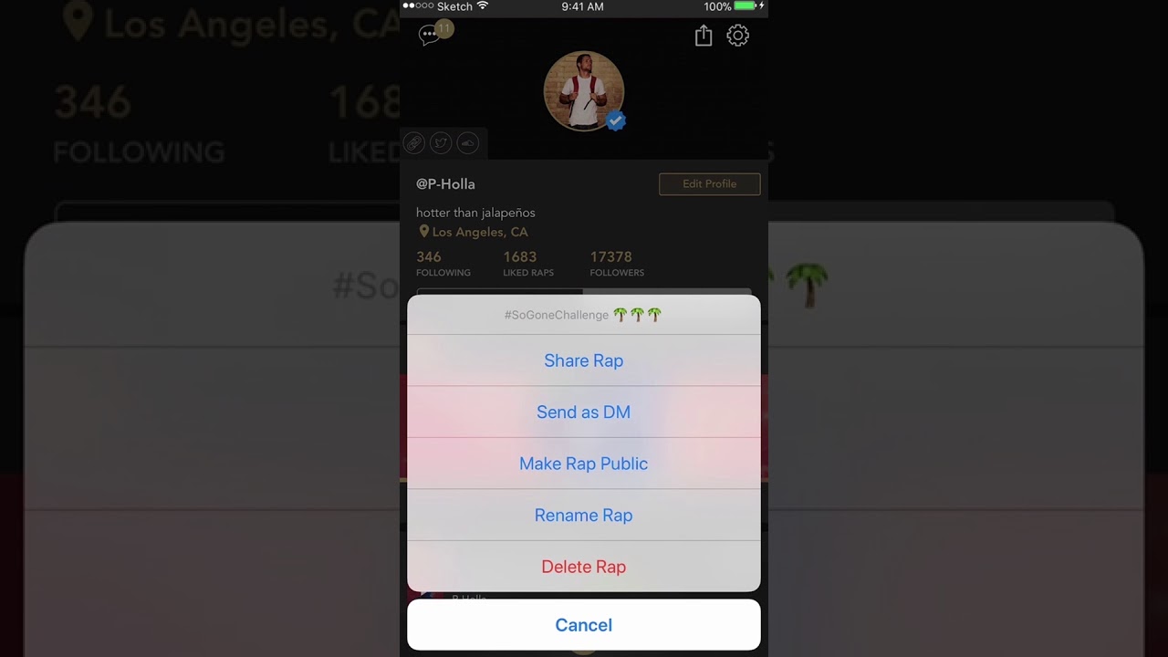 Rapchat App FAQ - How to Make a Private Rap Public - YouTube