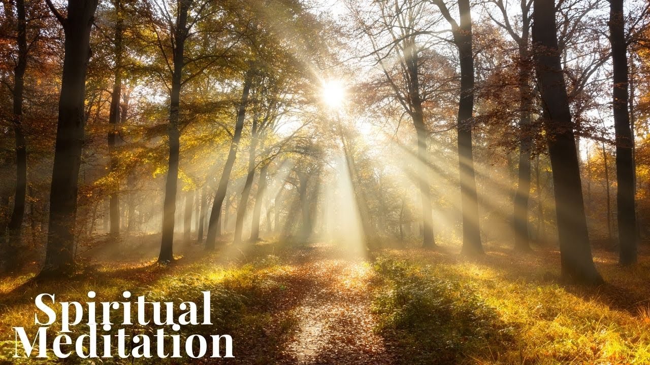 Calming Sunlight through the Forest Trees / Relaxing, Peaceful Piano ...