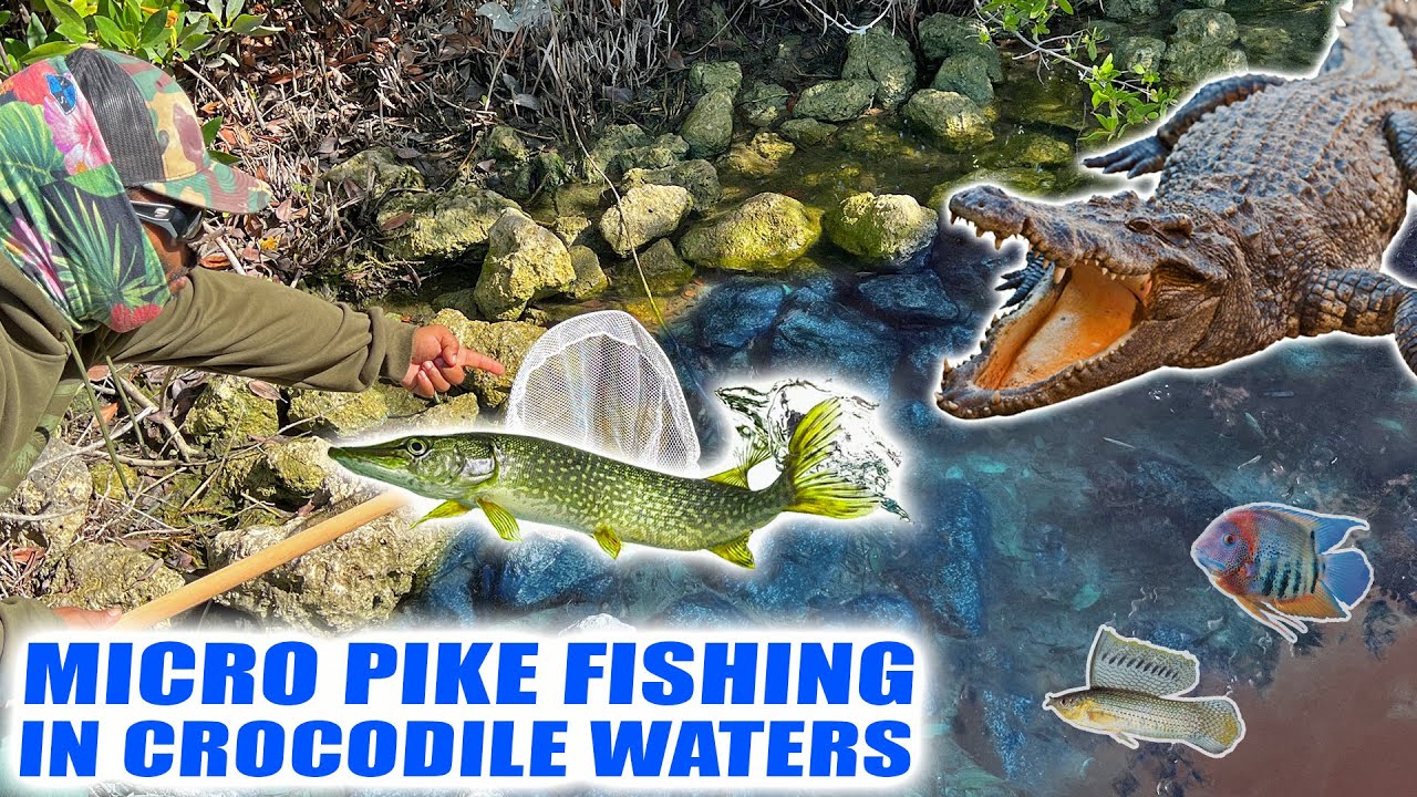 Micro Fishing in Crocodile Infested Waters - YouTube