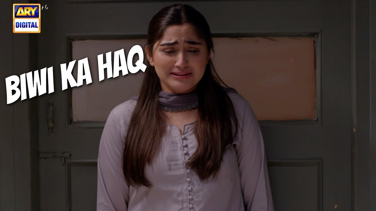 Ab Mein Important Nahi Hoon "ABDUL BARI" | Aapa Shameem | ARY Digital ...