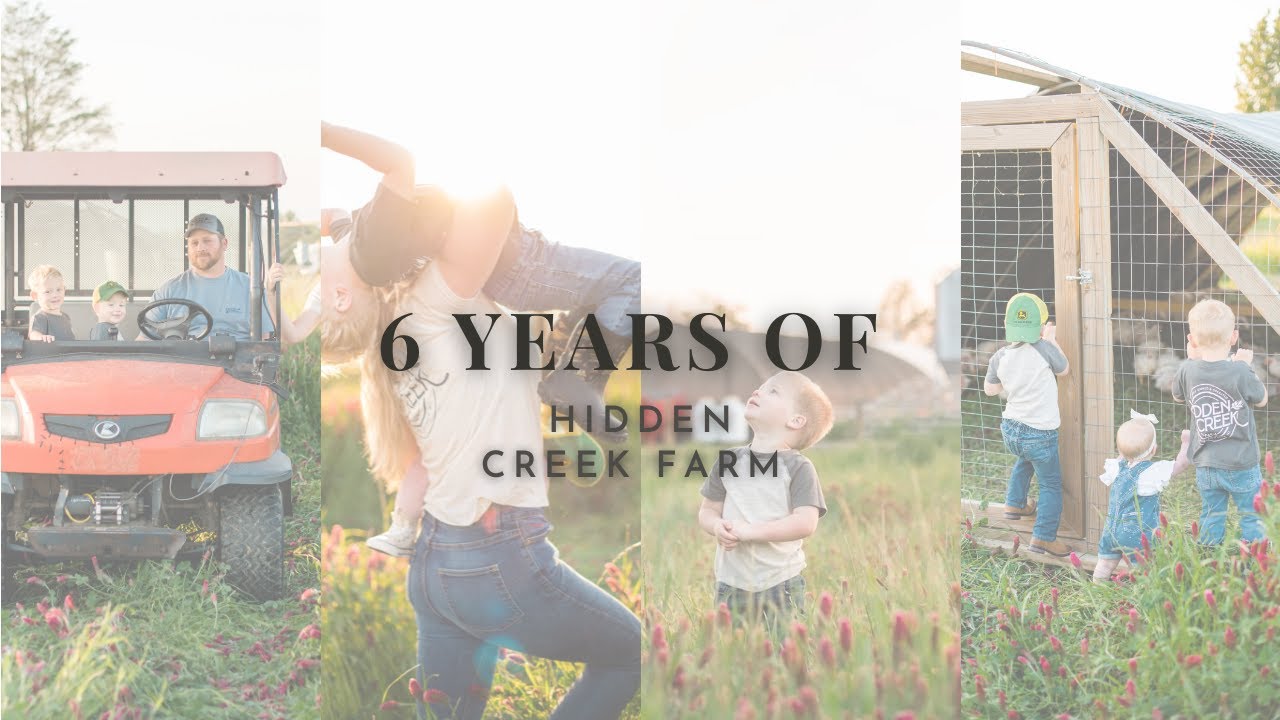 What 6 Years of Farming Has Taught Us | Hidden Creek Farm Q&A ...