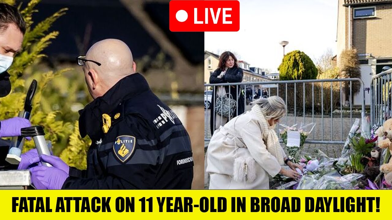 🚨 Fatal ATTACK On 11 Year-Old In Broad Daylight In The Netherlands ...