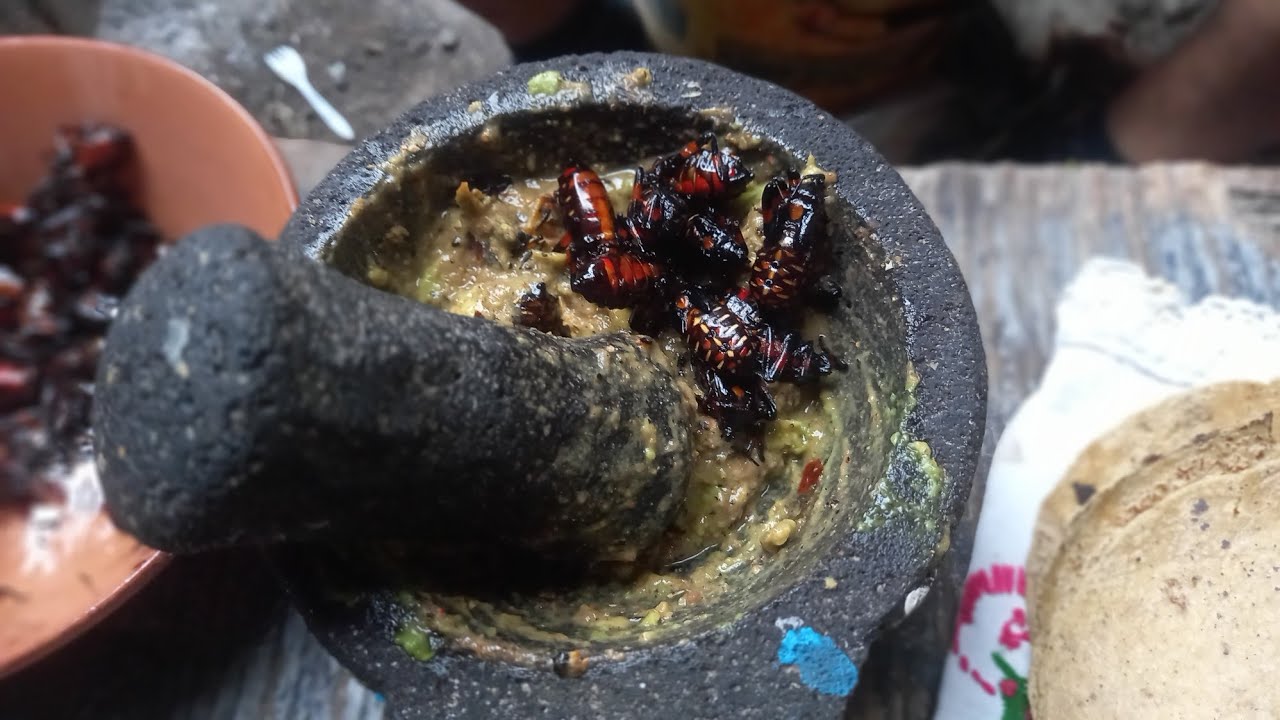 Salsa De Tantarrias ,Chamues - YouTube