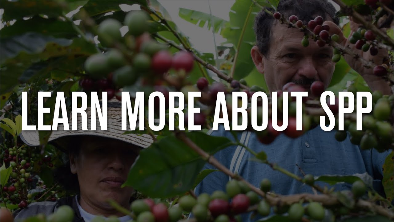 Small Producers´ Symbol - YouTube