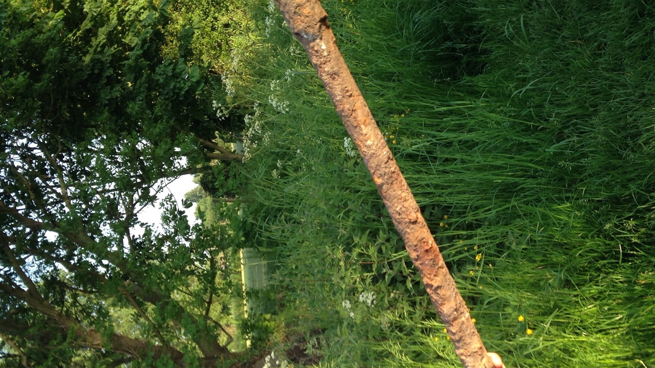 Creative wi friends - YouTube