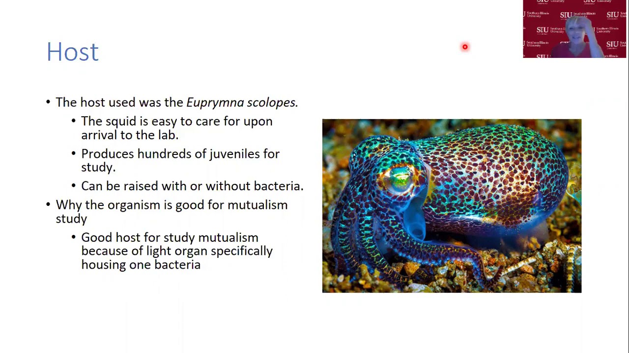 Bacteria And Human Mutualism