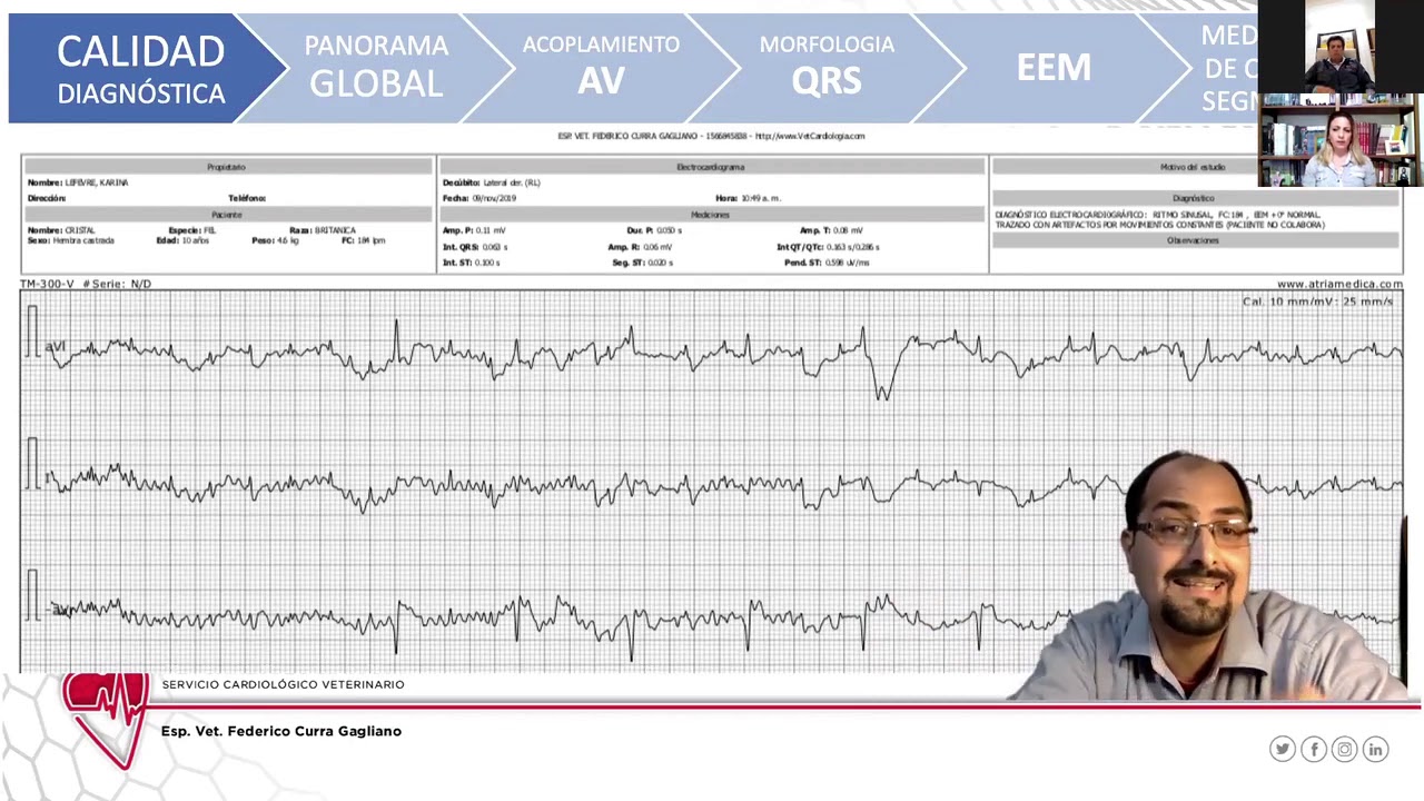Los 6 pasos para analizar un ECG en veterinaria (pequeños animales ...