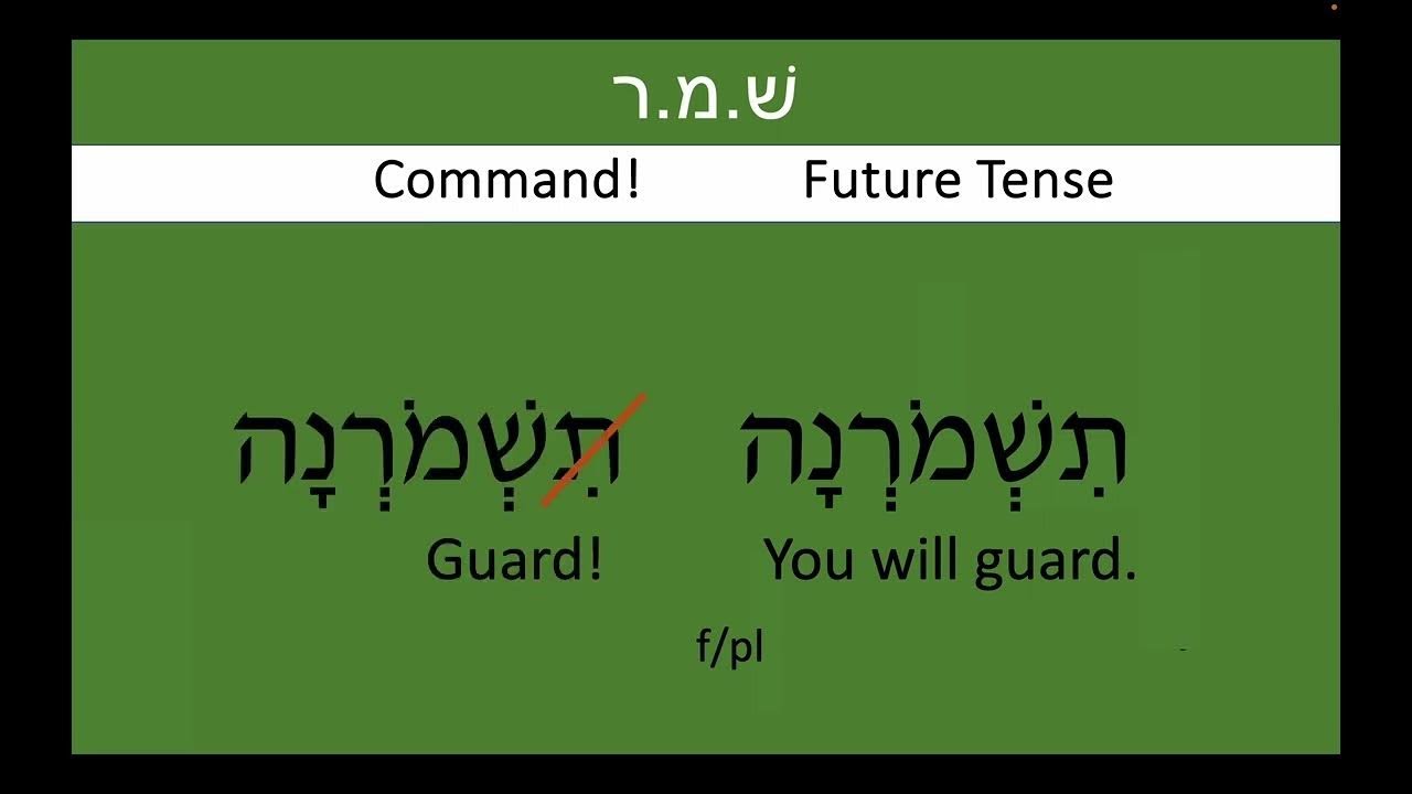The command form of 22 commonly used verbs - YouTube