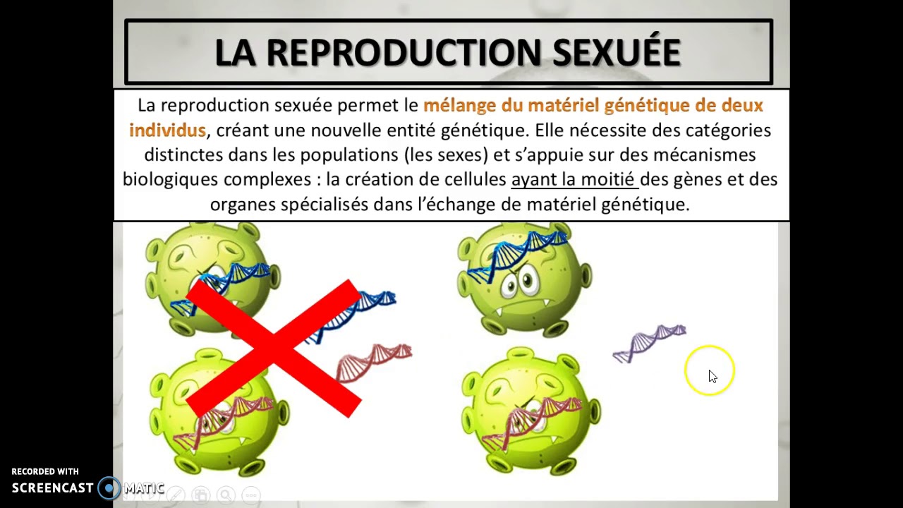 Cours 46 - La reproduction - YouTube
