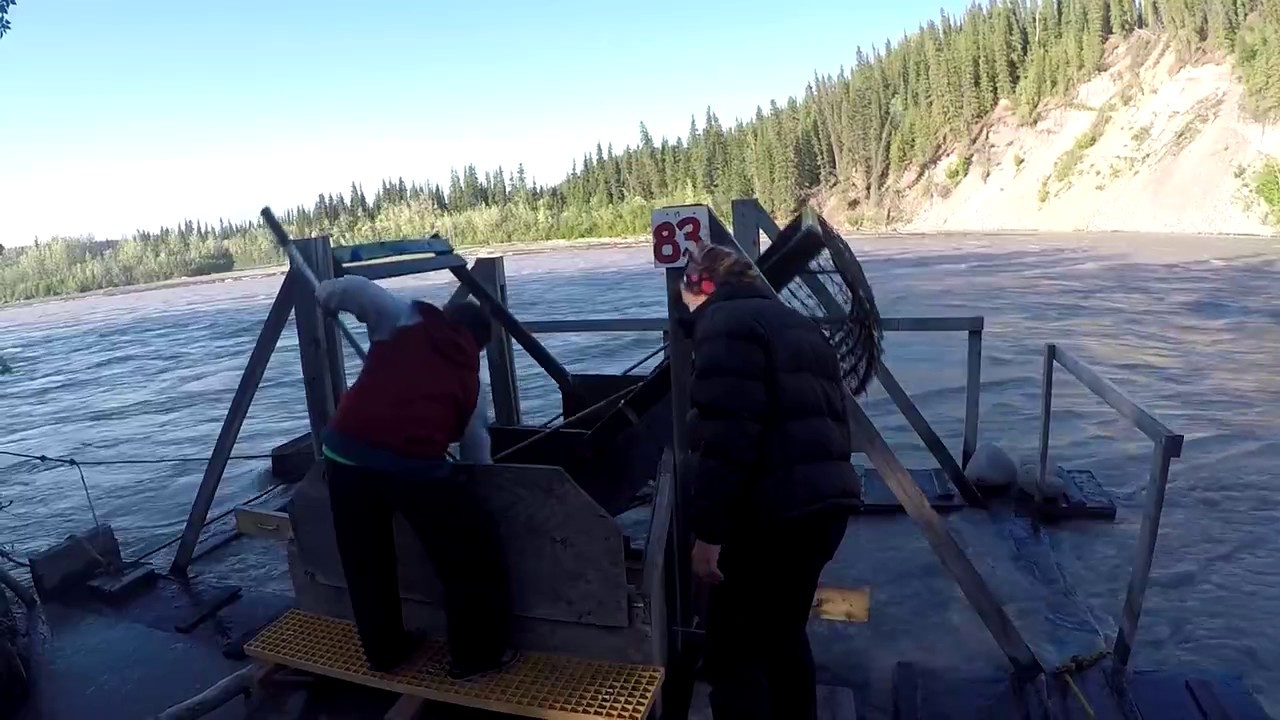 Fish wheel - YouTube