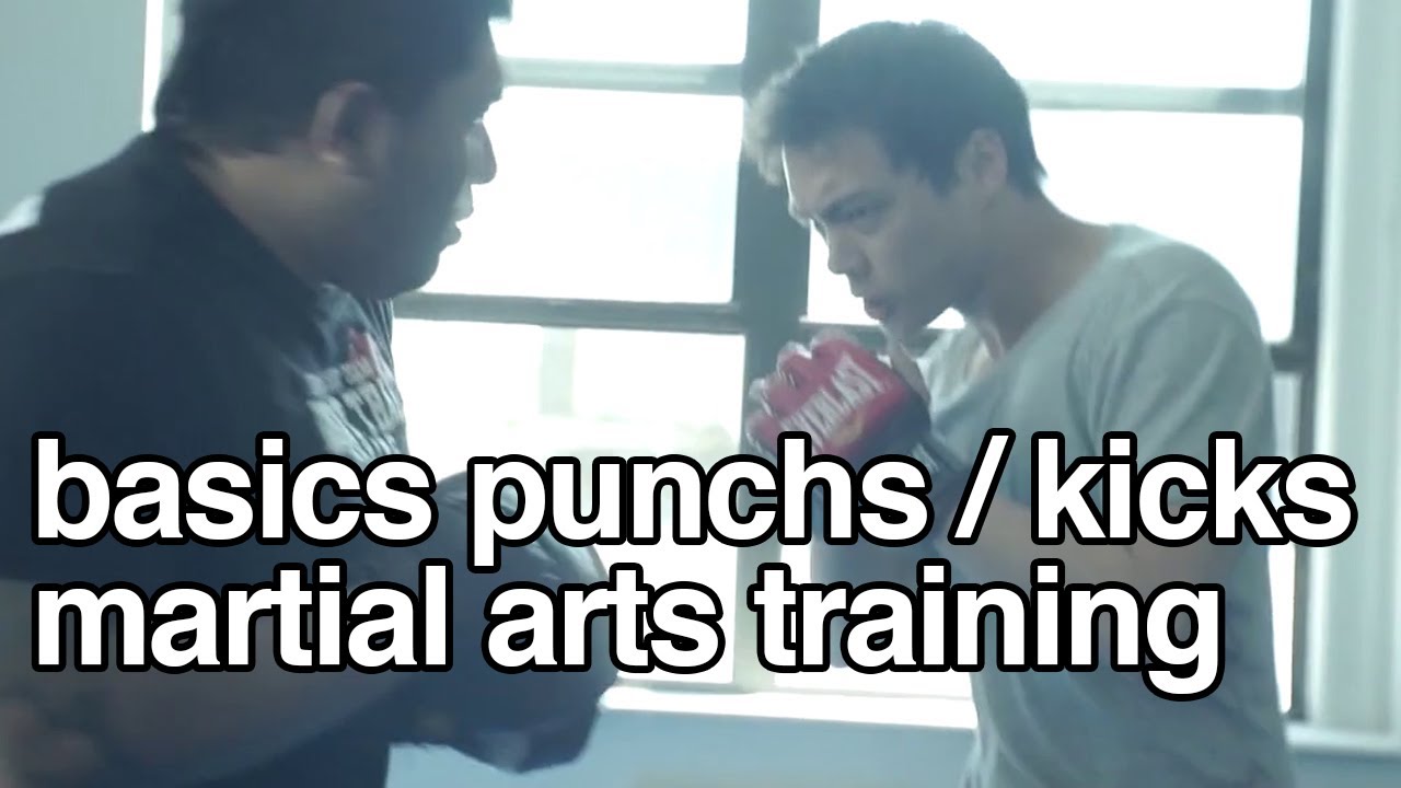 Training : Basics of kickboxing punch/kick on focus pad - YouTube