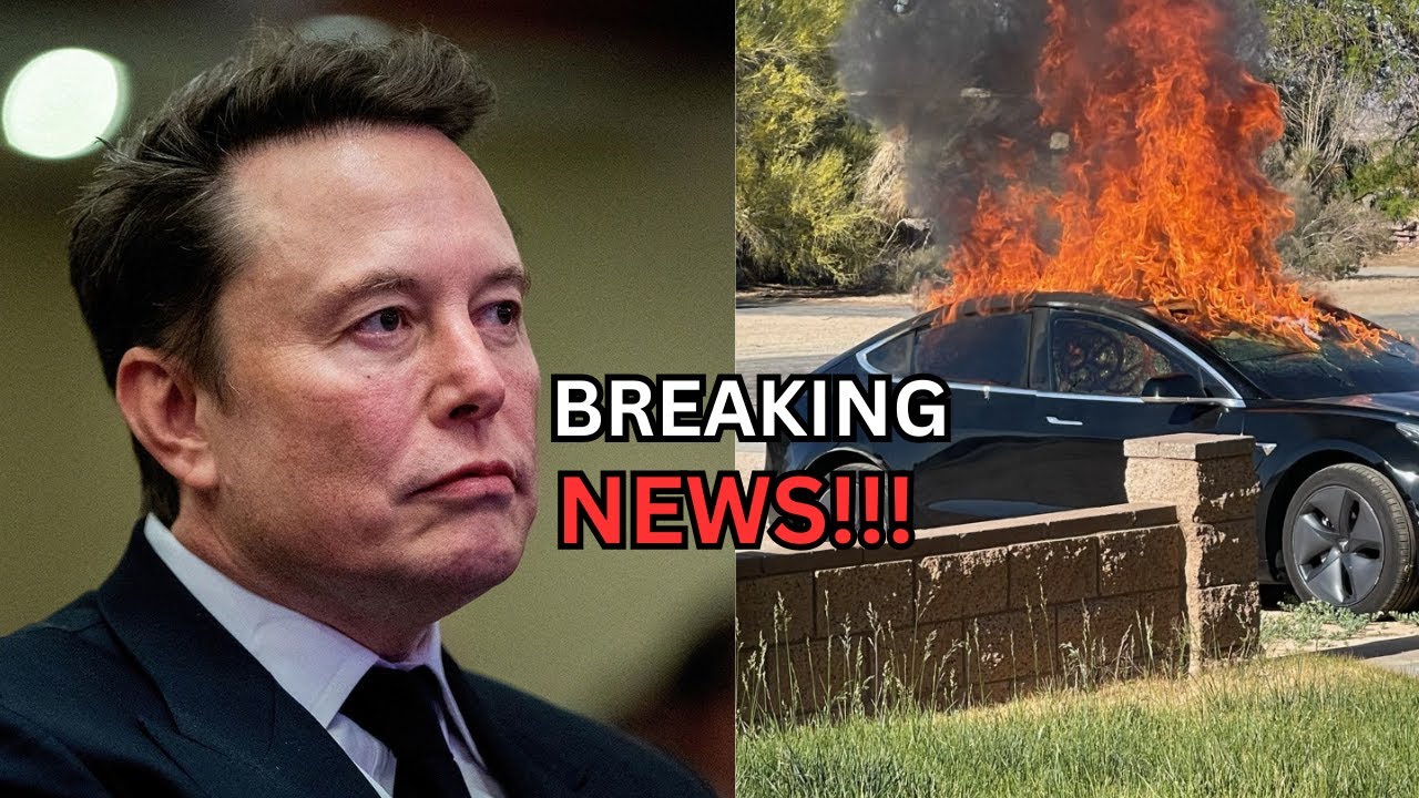 Elon Musk PANICS as TESLA stock CRASHES because they keep catching on ...