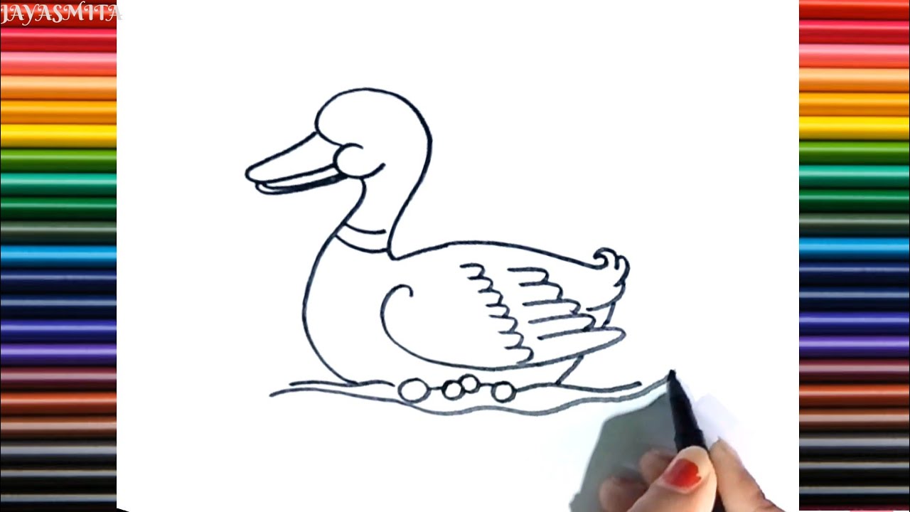 Learn how to draw a duck and colour || drawing duck for kids || easy ...