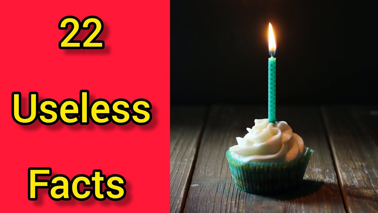 Random Facts You'll Never Use | 22 Fun Trivia | Useless Information ...