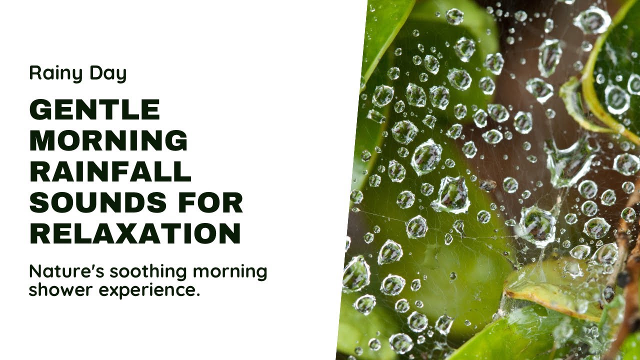 GENTLE MORNING RAINFALL SOUNDS FOR RELAXATION - YouTube