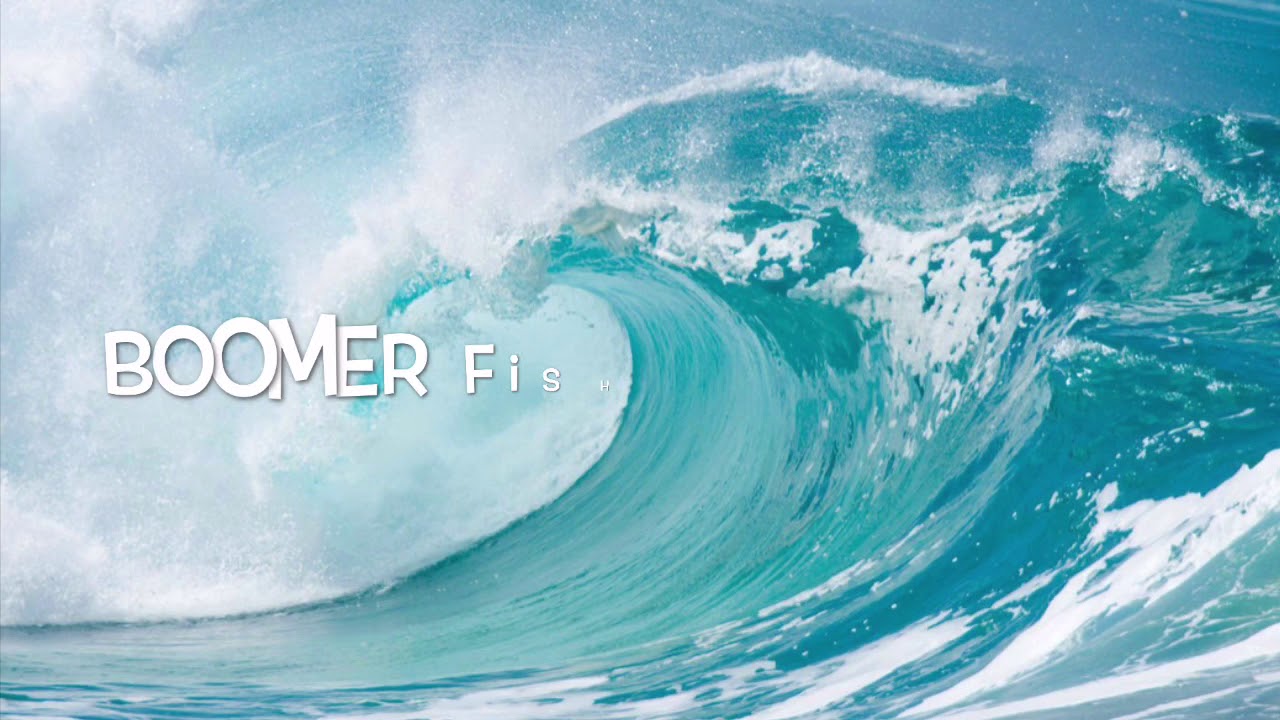 Boomer Fish VS Electronics - YouTube