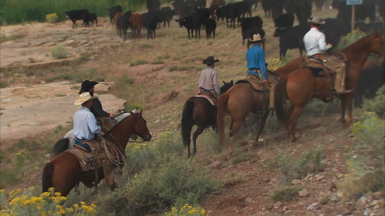 A Tour of Singleton Ranches, Part 1 - YouTube