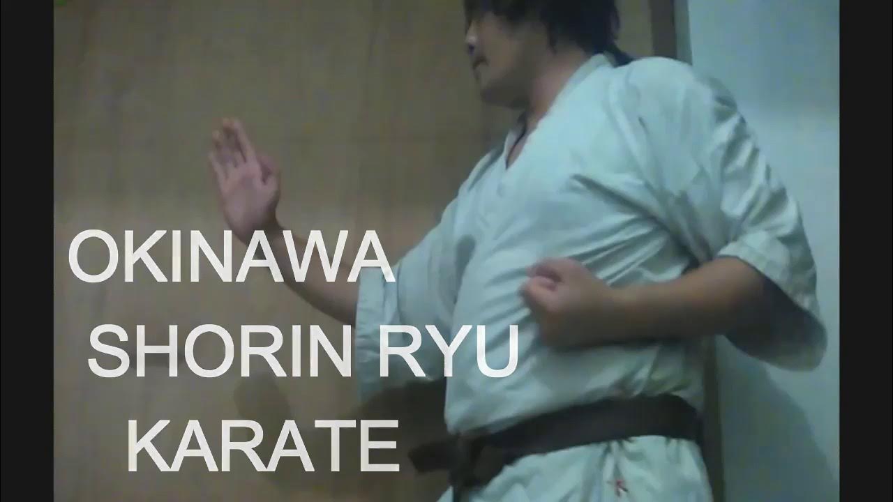 REVERSE PUNCH SEIKEN ZUKI OKINAWA SHORIN RYU KARATE - YouTube