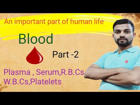 Blood|Plasma|R.B.Cs|W.B.Cs|Platelets|Serum|For all competitive exams ...