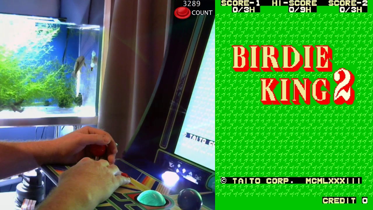 Birdie King II (Arcade / 1983) One Token Play - YouTube