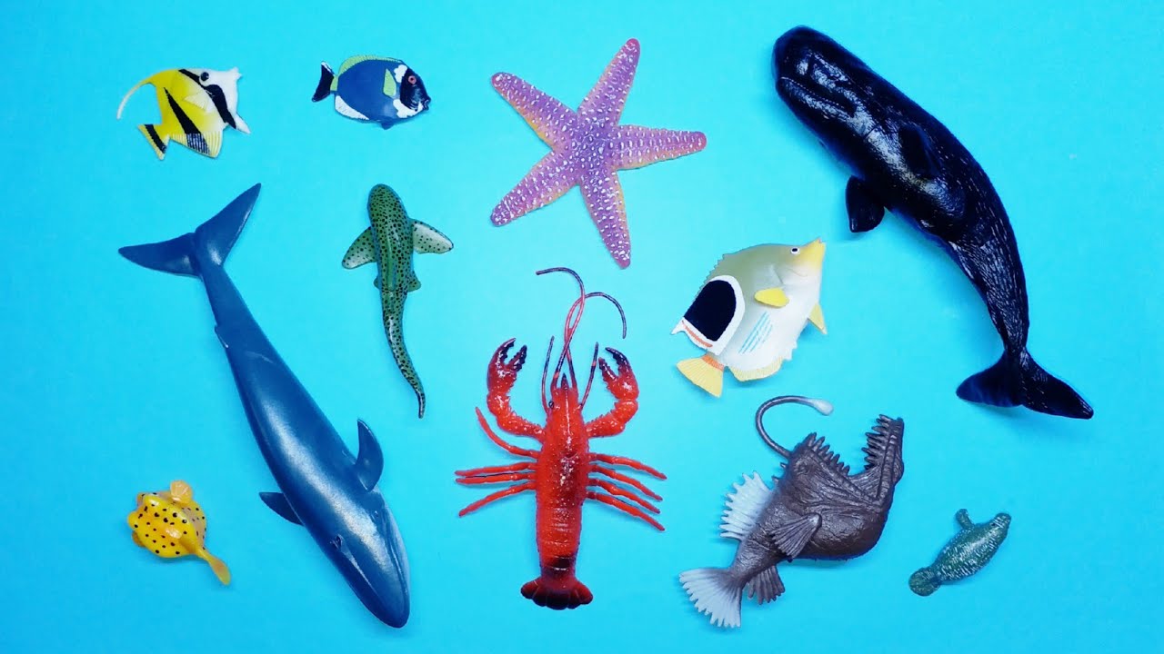 Hunting Found Sea Animals Clown Fish, Hammerhead Shark, Orca Whale ...