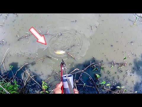 DI OBOK OBOK IKAN MABOK || SENGGOL BACOK PASER PARALON - YouTube