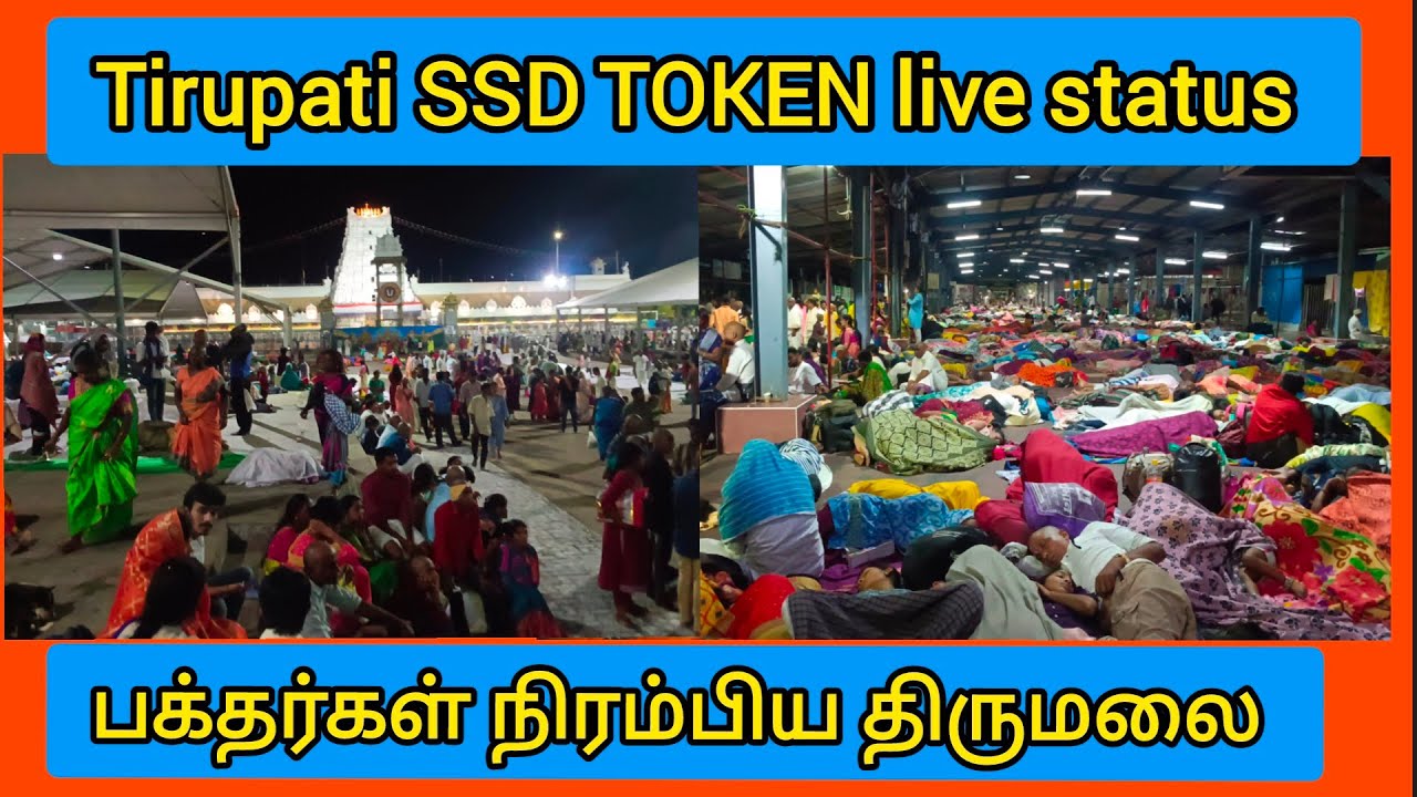 11.06.24 Tirupati SSD TOKEN live status & ஞாயிற்றுக்கிழமை திருமலையை ...