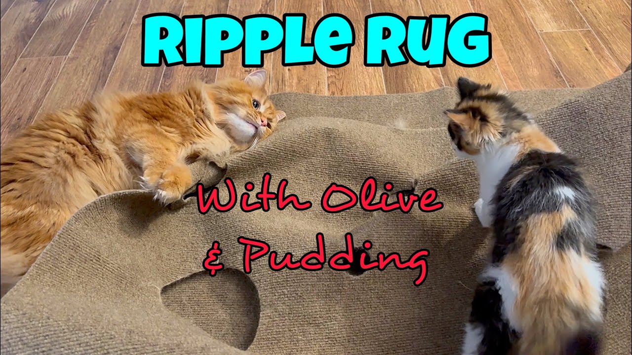 Ripple Rug with Olive and Pudding - YouTube