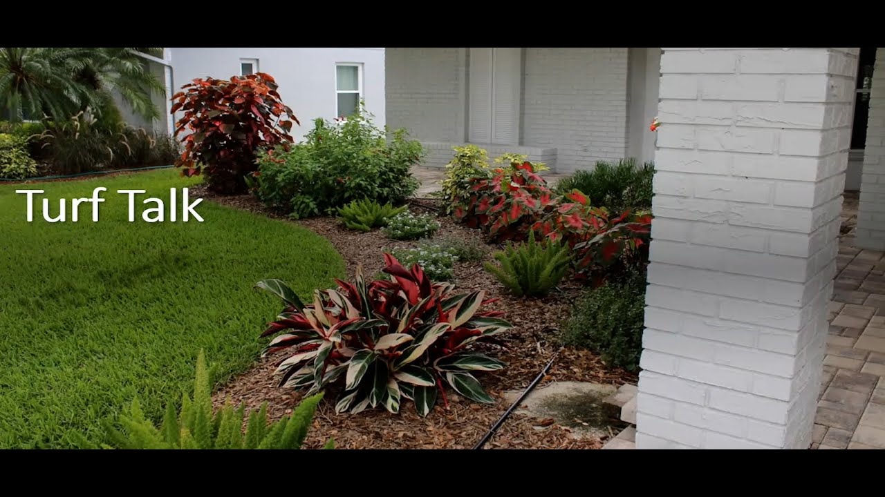 "Turf Talk with Bernie" - YouTube